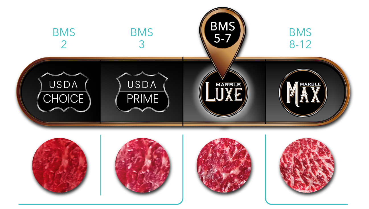 Tri-Tip | Luxe – Marble Ridge Specialty Farms